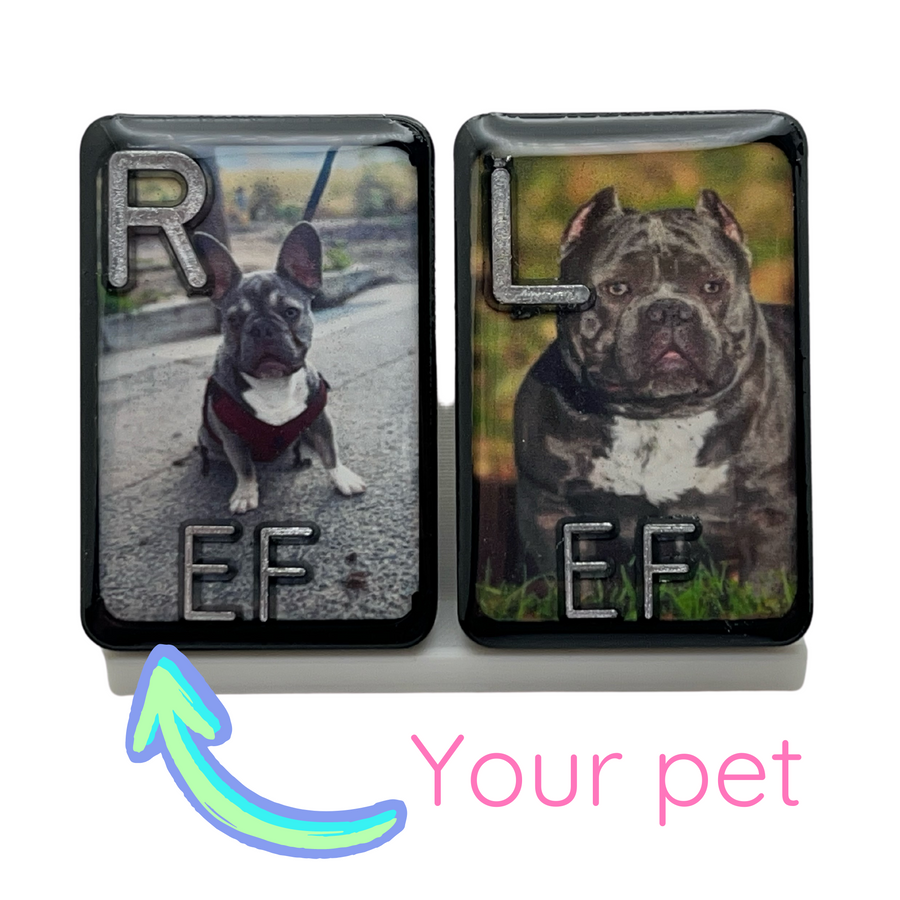 Radiology X-Ray Markers With Initials | Personalized Pet X-Ray Markers ...